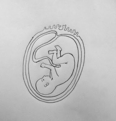 DRAW IT NEAT: How to draw human baby in womb