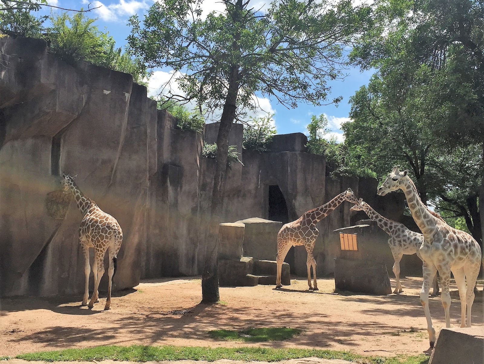 Souvenir Chronicles: MILWAUKEE, WISCONSIN: MILWAUKEE COUNTY ZOO