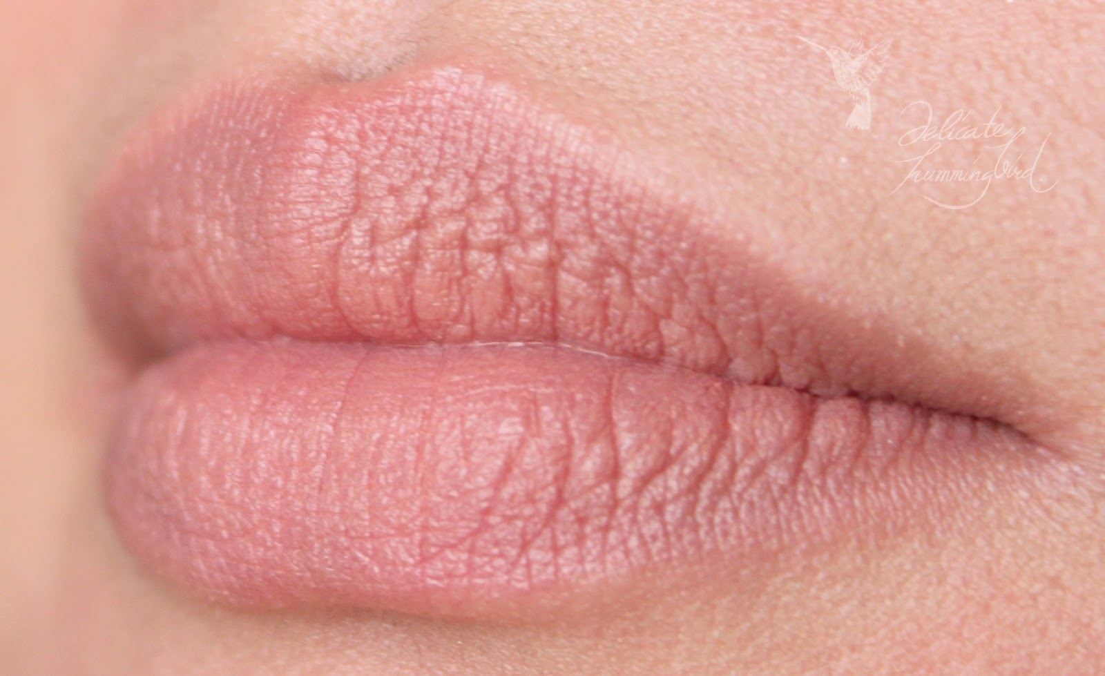 delicate hummingbird.