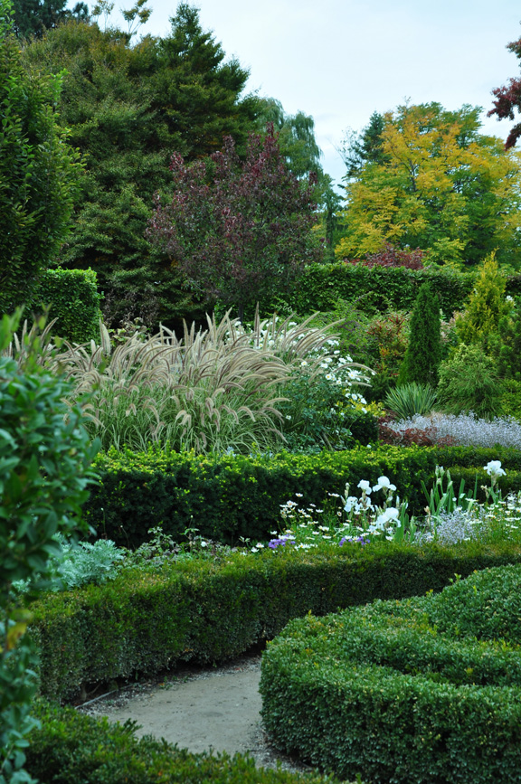 Three Dogs in a Garden: A Thanksgiving Feast for the Eyes at Edwards ...