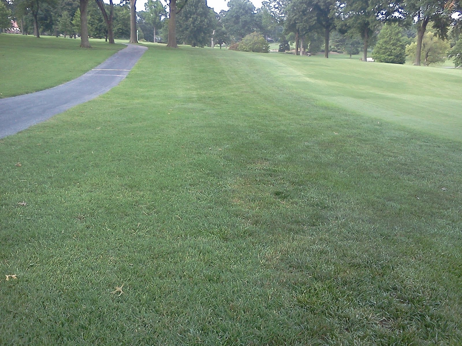 Glen Echo Country Club Golf Course Management: Fine line between fescue ...