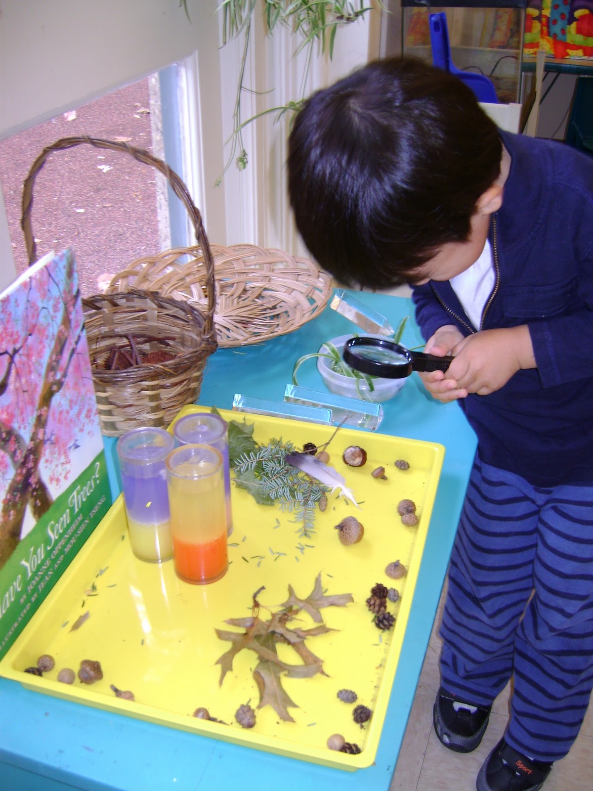 Teaching Science to Future Generations: Making Connections: Scientific ...