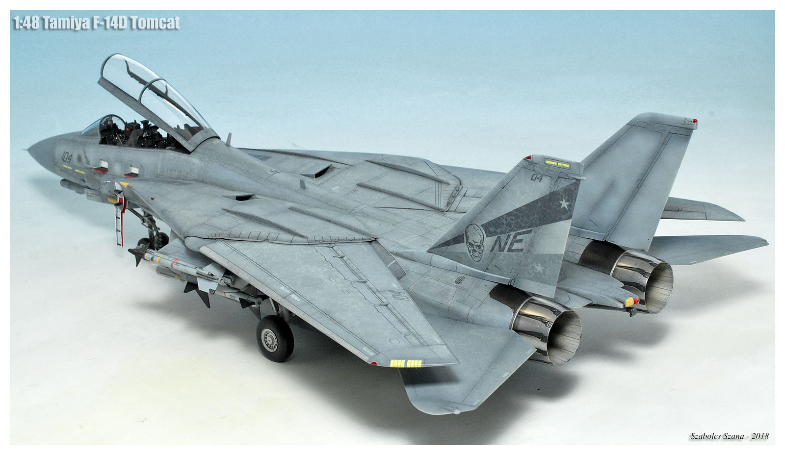 Wings of Glory: 1/48 Tamiya F-14D Tomcat