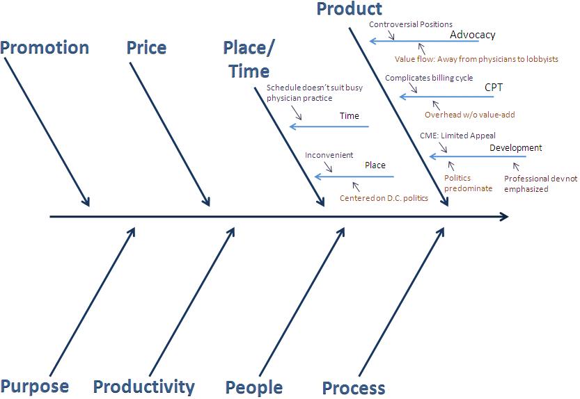 Leading Healthcare in Two Directions: Political or Practical (Fishbone ...