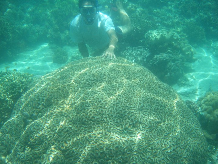 Katagbaoan Beach Farm - My Haven In Tagbaobo, Samal - Gana Explore!