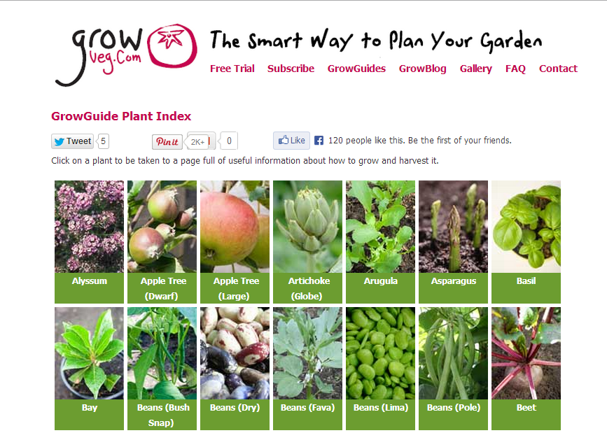 My Green Moment: Guide to grow your vegetables!!