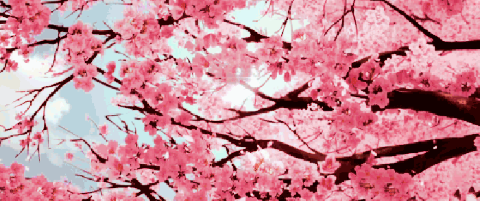 2017 ~ BOTANICA GENERAL