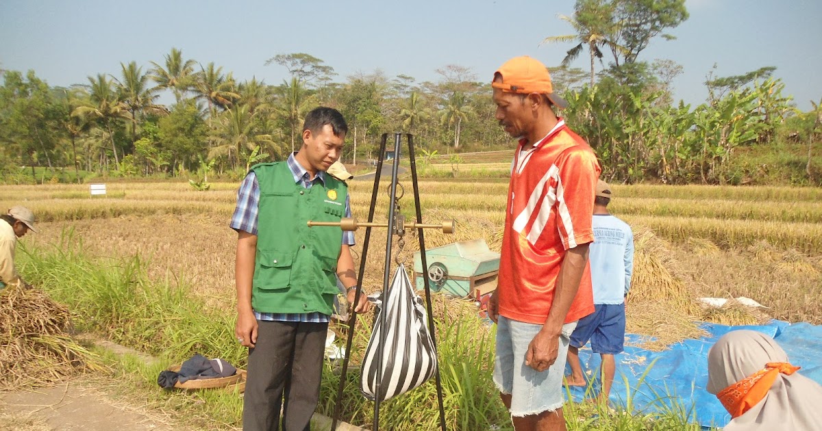 CARA MELAKUKAN UBINAN