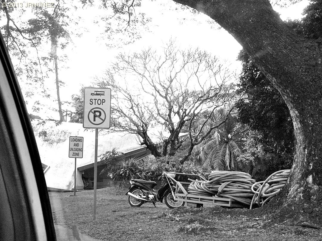 Photo Essay: OBLATION RUN 2013 @ UP Diliman
