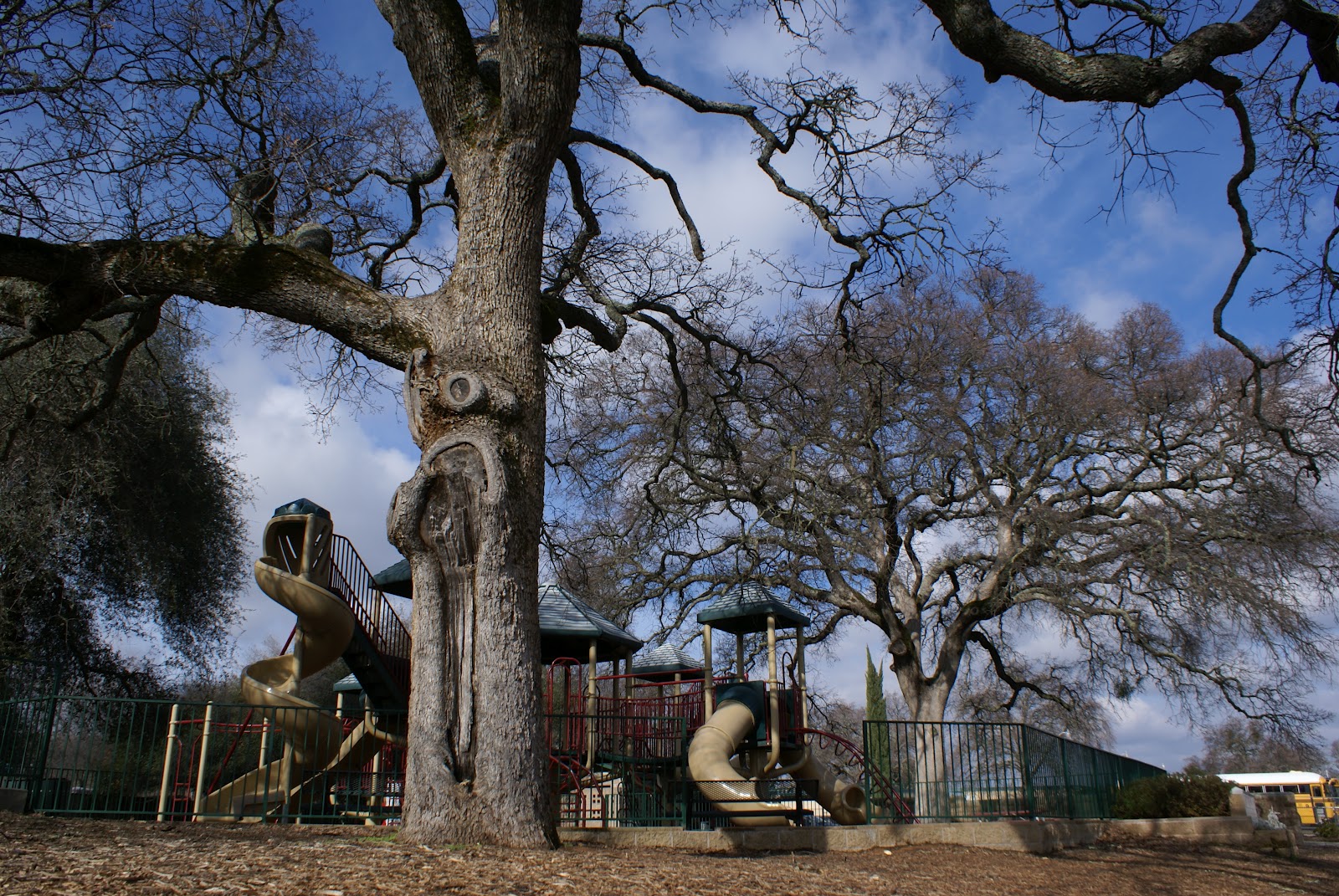 Your Next Home: Cameron Park "A Special Place to Live"