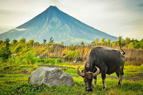 BE COOL IN BIKOL (PHILIPPINES): BICOL ORIGIN