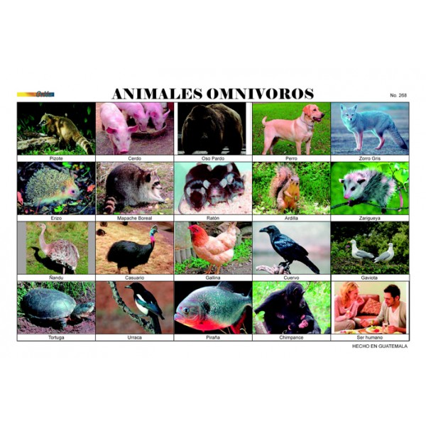 Pedagogía General Básica: Animales Omnivoros