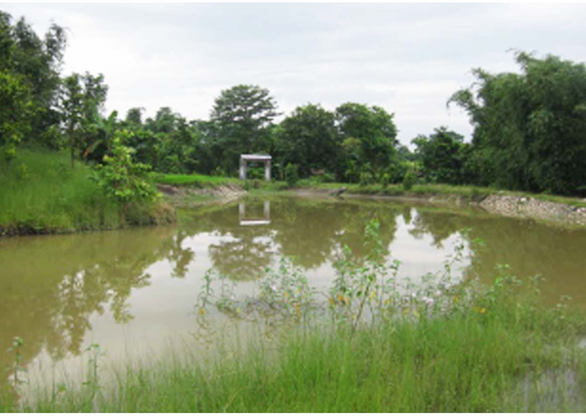 मेरो प्यारो ईलाम जिल्ला : Tinkune Pokhari, Chulachuli Ilam