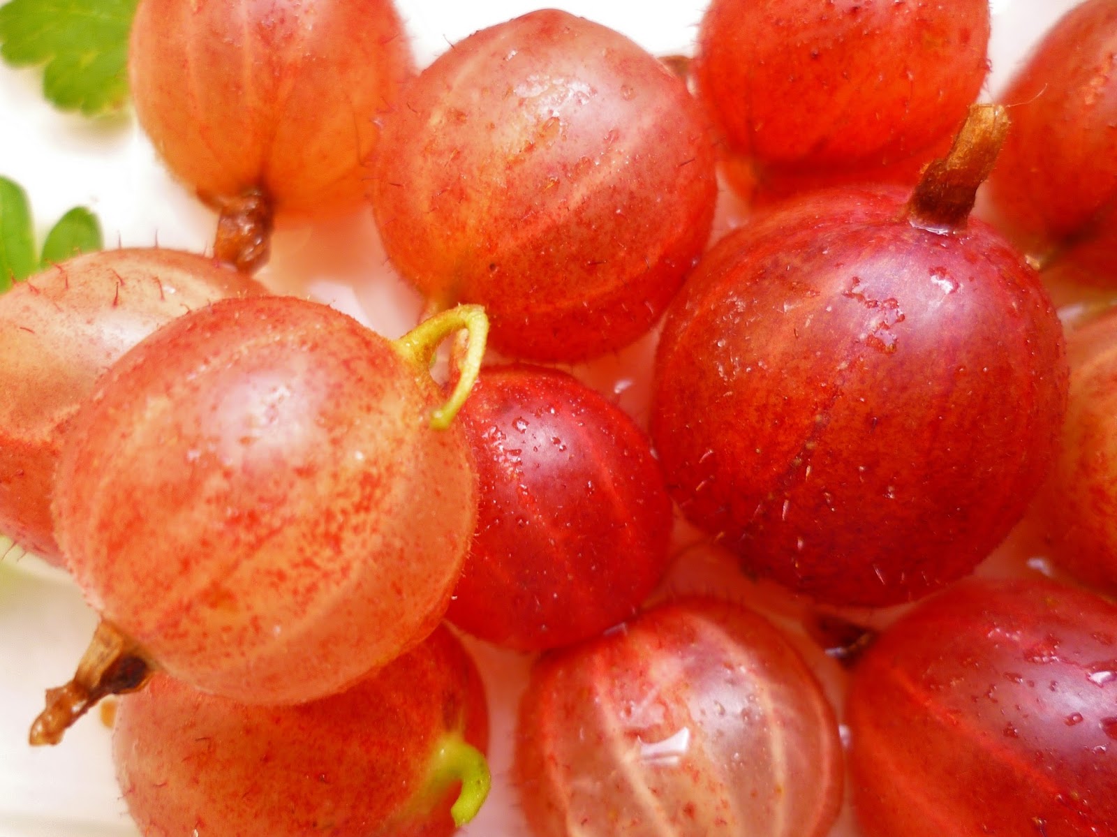 Marmaduke Scarlet: what's in season: july