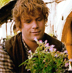 League of Literary Gentlemen: Samwise the Stouthearted, Part Two ~ The ...