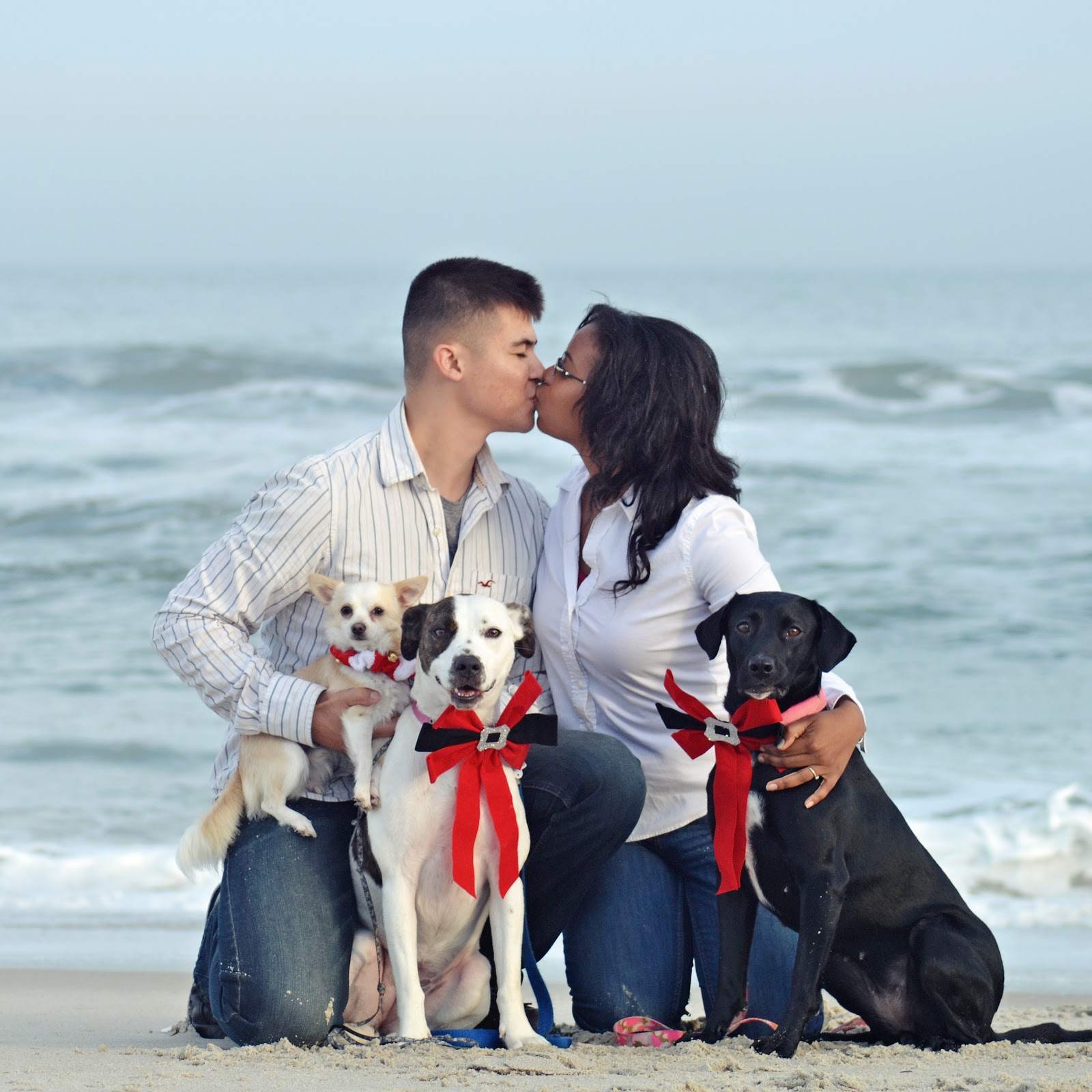Amy Dalrymple Photography