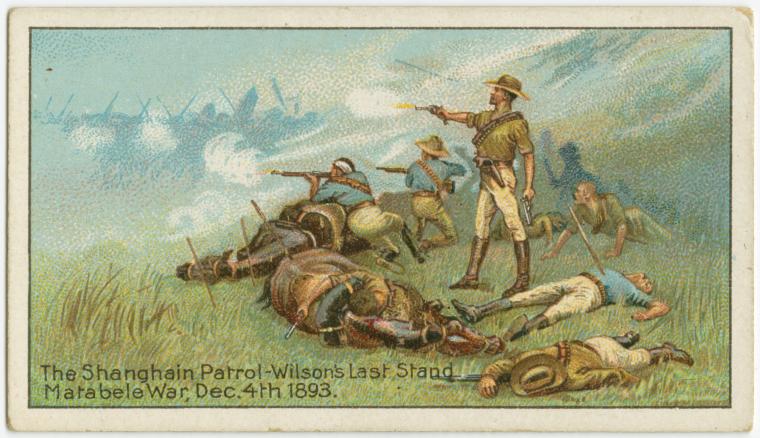 Tall Tales from the Trees: 2014