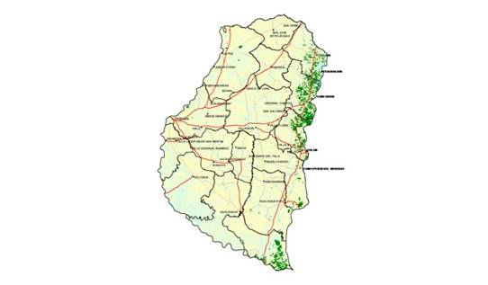 Entre Ríos Forestal: Información técnica
