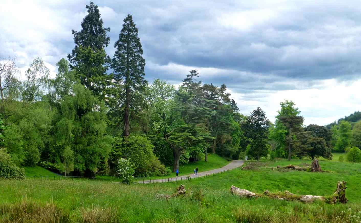Alex and Bob`s Blue Sky Scotland: Overtoun Estate. Lang Craigs Hanging ...