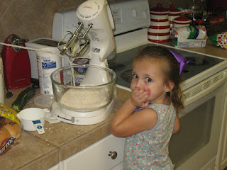 Cooking is Medicine: French Braid and Chocolate Muffins