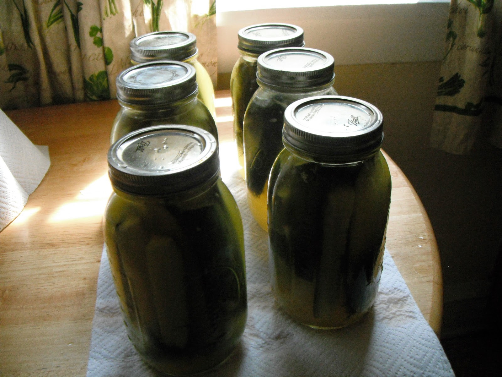 Food Obsession: Pickle Making Day