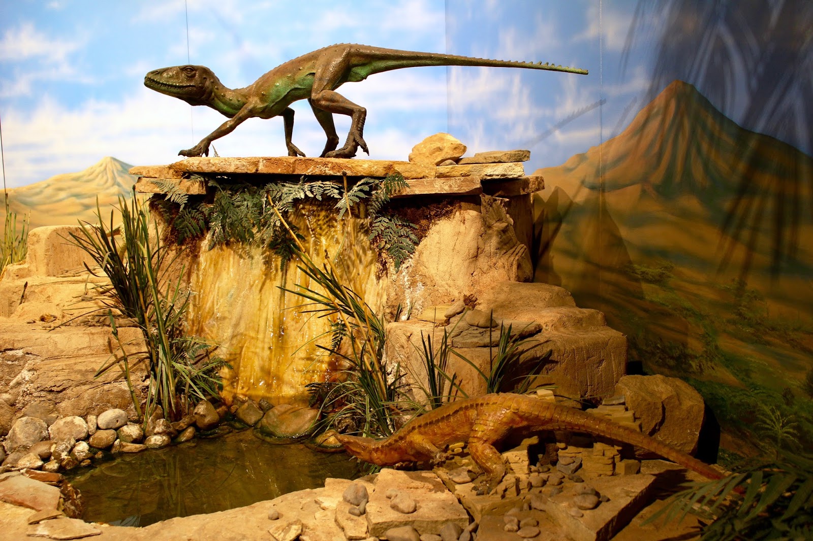 Wandering w/ Serenity: Great Little Dino Museum