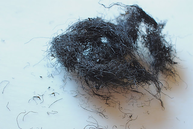 Food Endeavours of the Blue Apocalypse: Buddha’s Delight – Chinese New ...