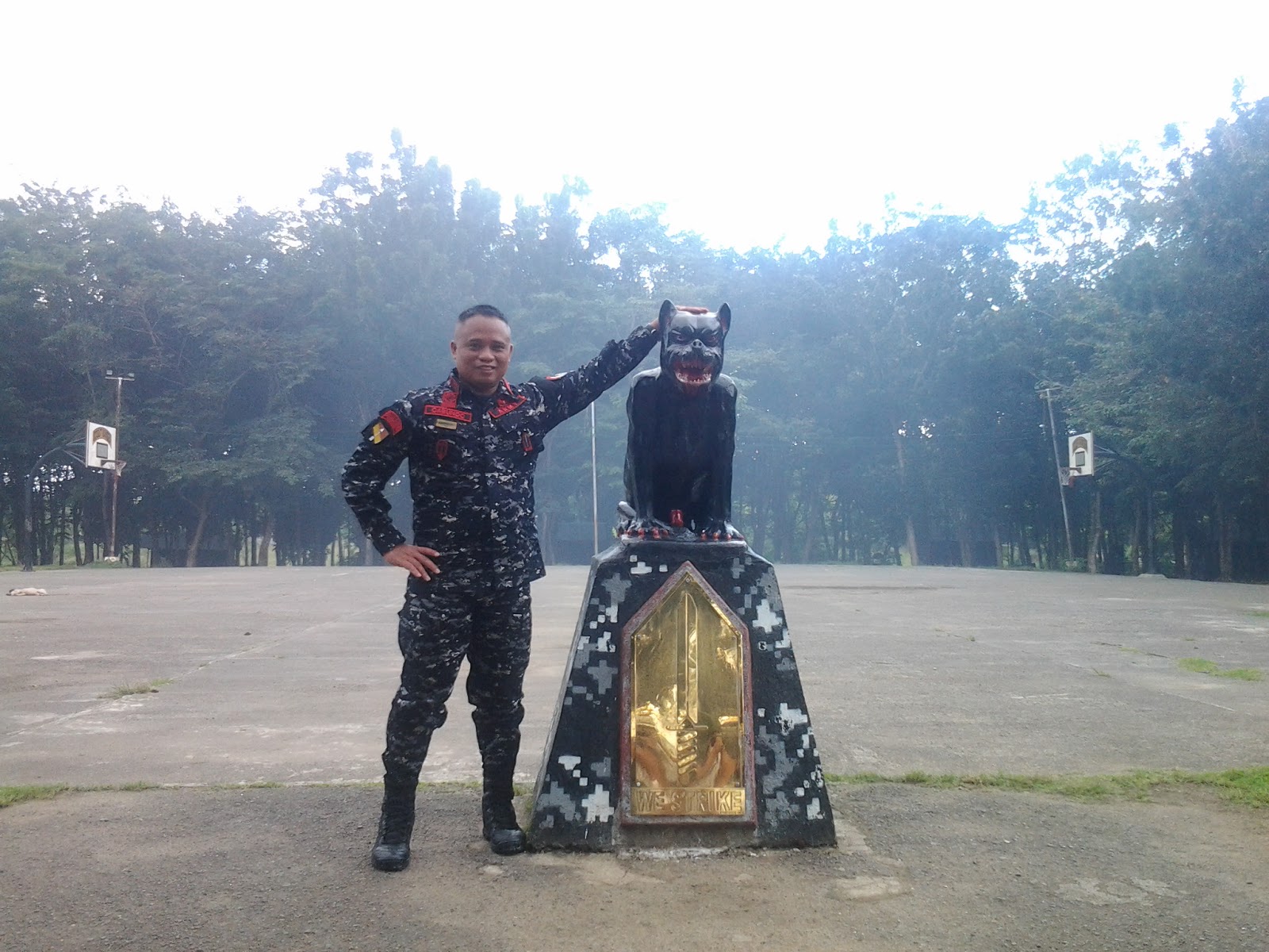 Ranger Cabunzky's Blog: Scout Rangers: Kasagutan sa mga katanungan