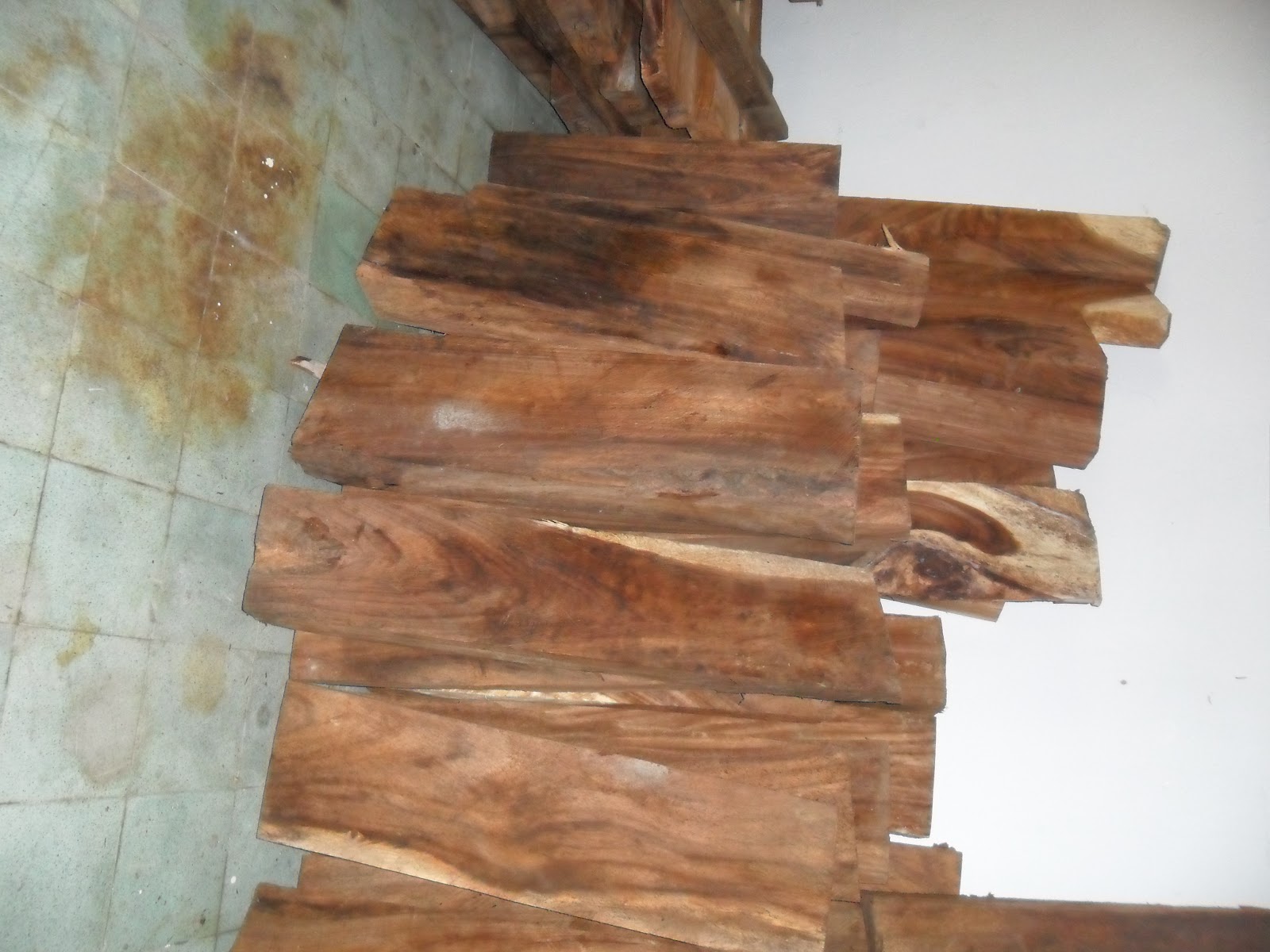 PAROTA: Madera de Parota, Tablones, Tablas, Ruedas Para Mesas