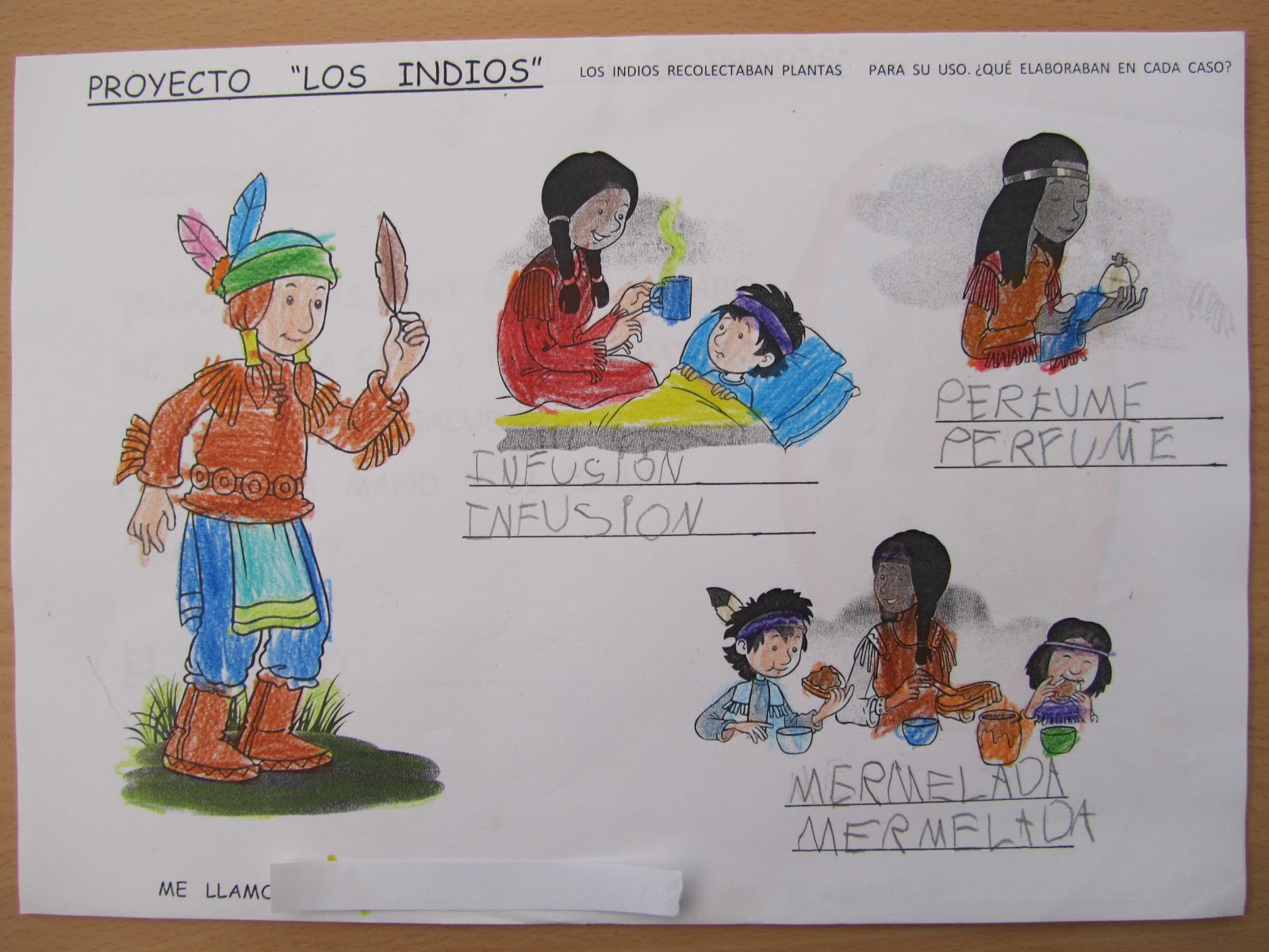 Yo aprendo, tú aprendes: PROYECTO "LOS INDIOS"
