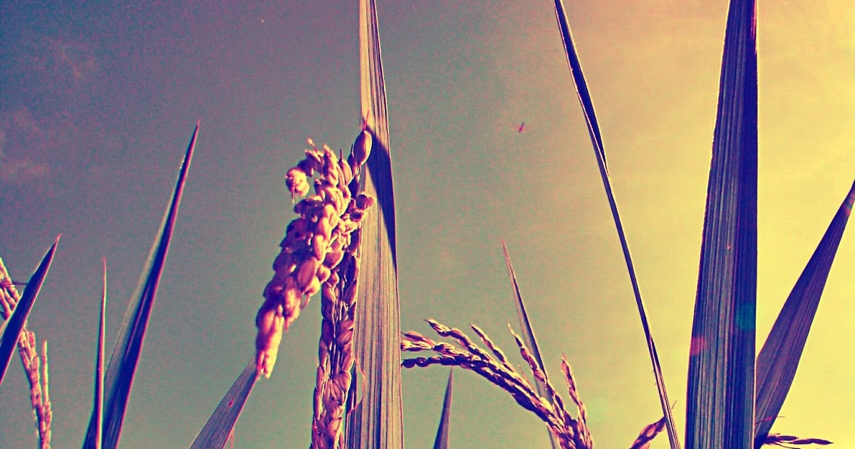 ByProducts 6: Kalikasan, kailangan ko pa bang magpaalam?