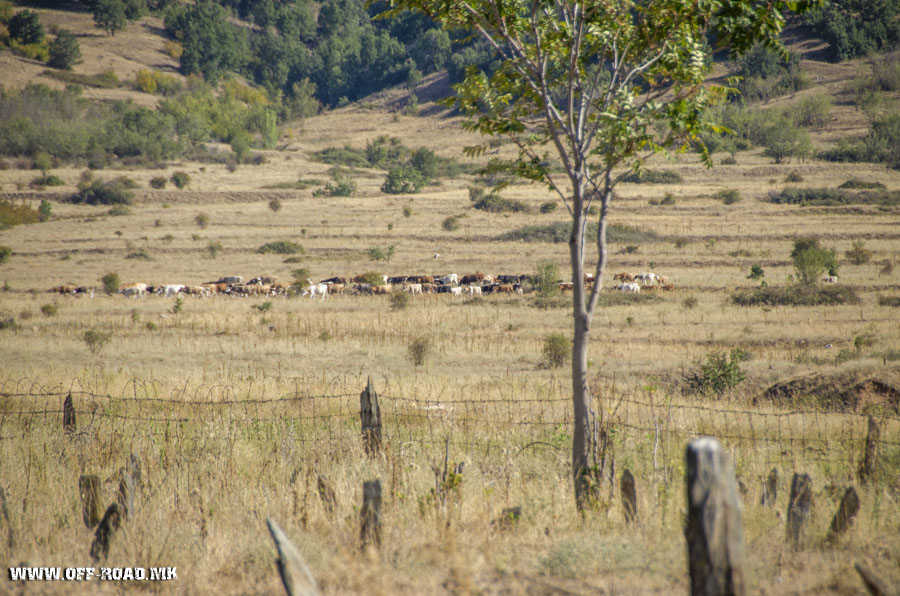 Dobroveni village (Село Добровени) in Novaci Municipality - Macedonia ...