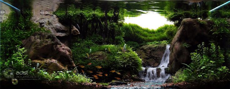 10 Aquascape Waterfall Yang Unik dan Menawan - Dunia Akuarium