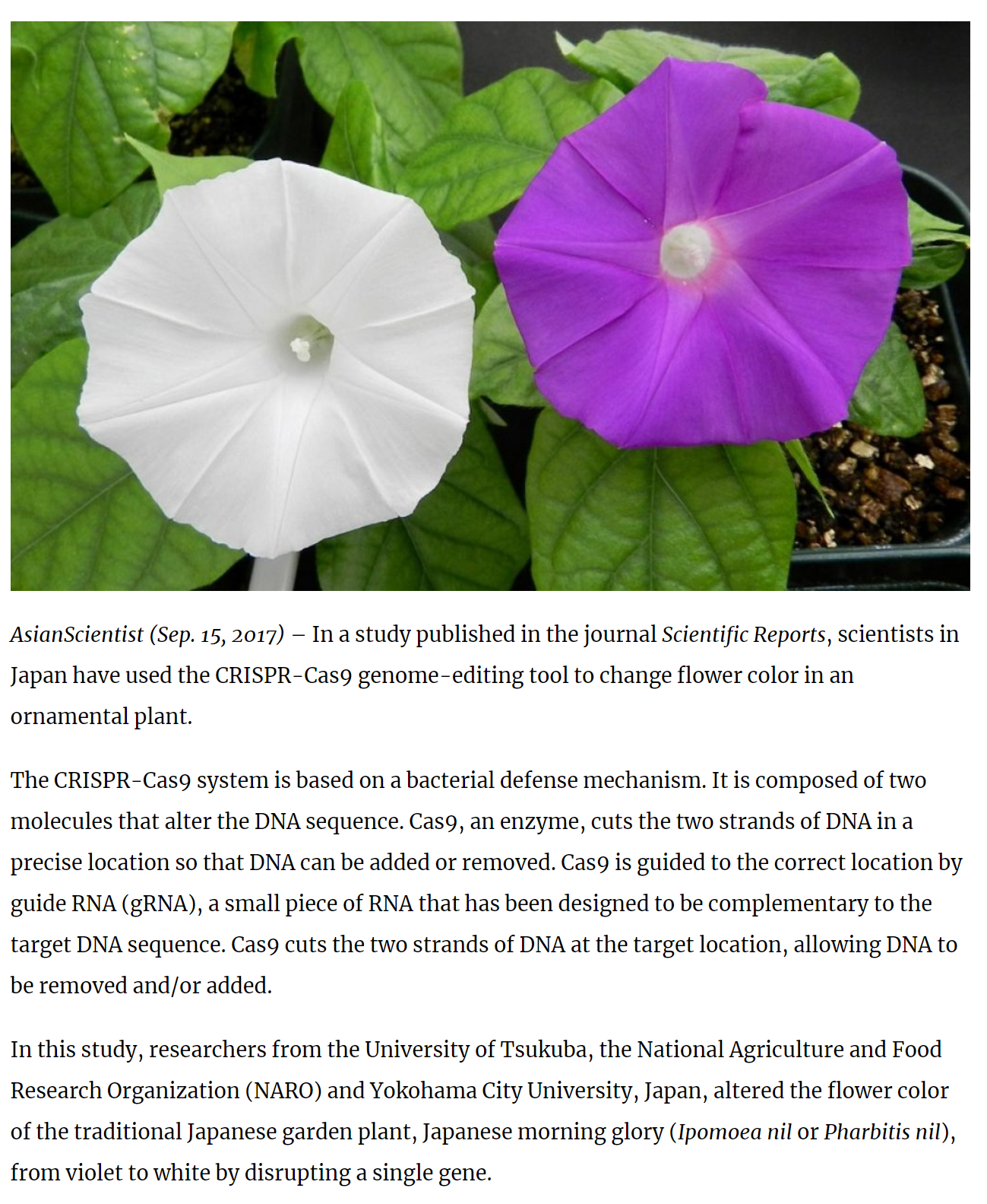 A Transgenic World: Inari: Joining a Start-up of Gene Editing and ...