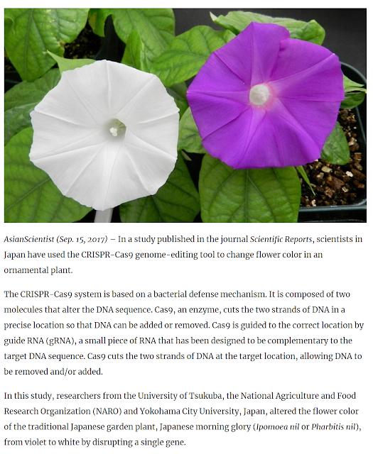 A Transgenic World: Inari: Joining a Start-up of Gene Editing and ...