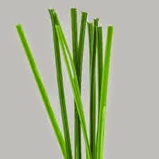 Melody Grass - Artificial Grass / Synthetic Turf Product: Fibrillated ...