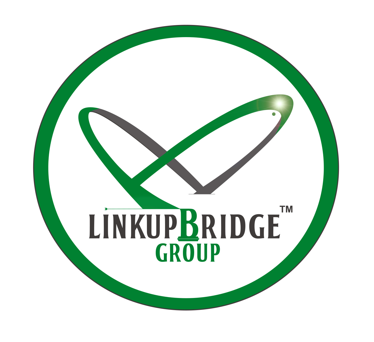 Linkup Bridge Group- Student development