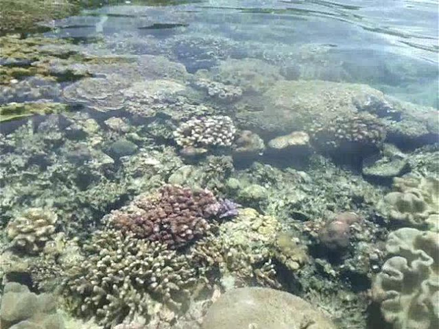 Katagbaoan Beach Farm - My Haven In Tagbaobo, Samal - Gana Explore!