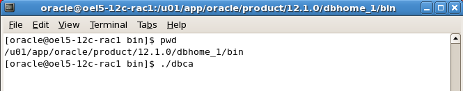 Trace Of Thinking Path Oracle 12c Rac Install 3 Of 3 Create 12c 4053