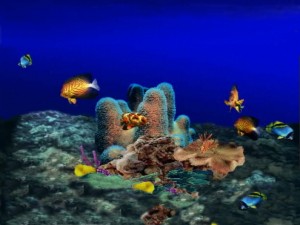 THE CAT - 3D Screensaver - Screensaver Animated - Screensaver Freeware ...