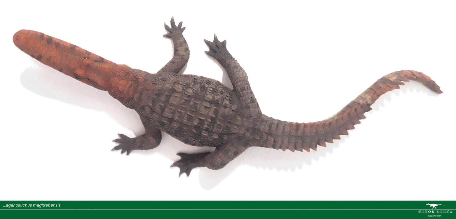 Vitor Silva - Paleoartista: Laganosuchus