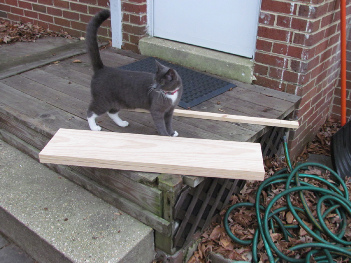 DIY Studio Equipment Rack Crawls Backward (When Alarmed)