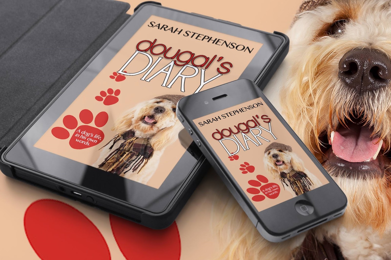 THE WRITE PLACE: Book Launch: Dougal's Diary