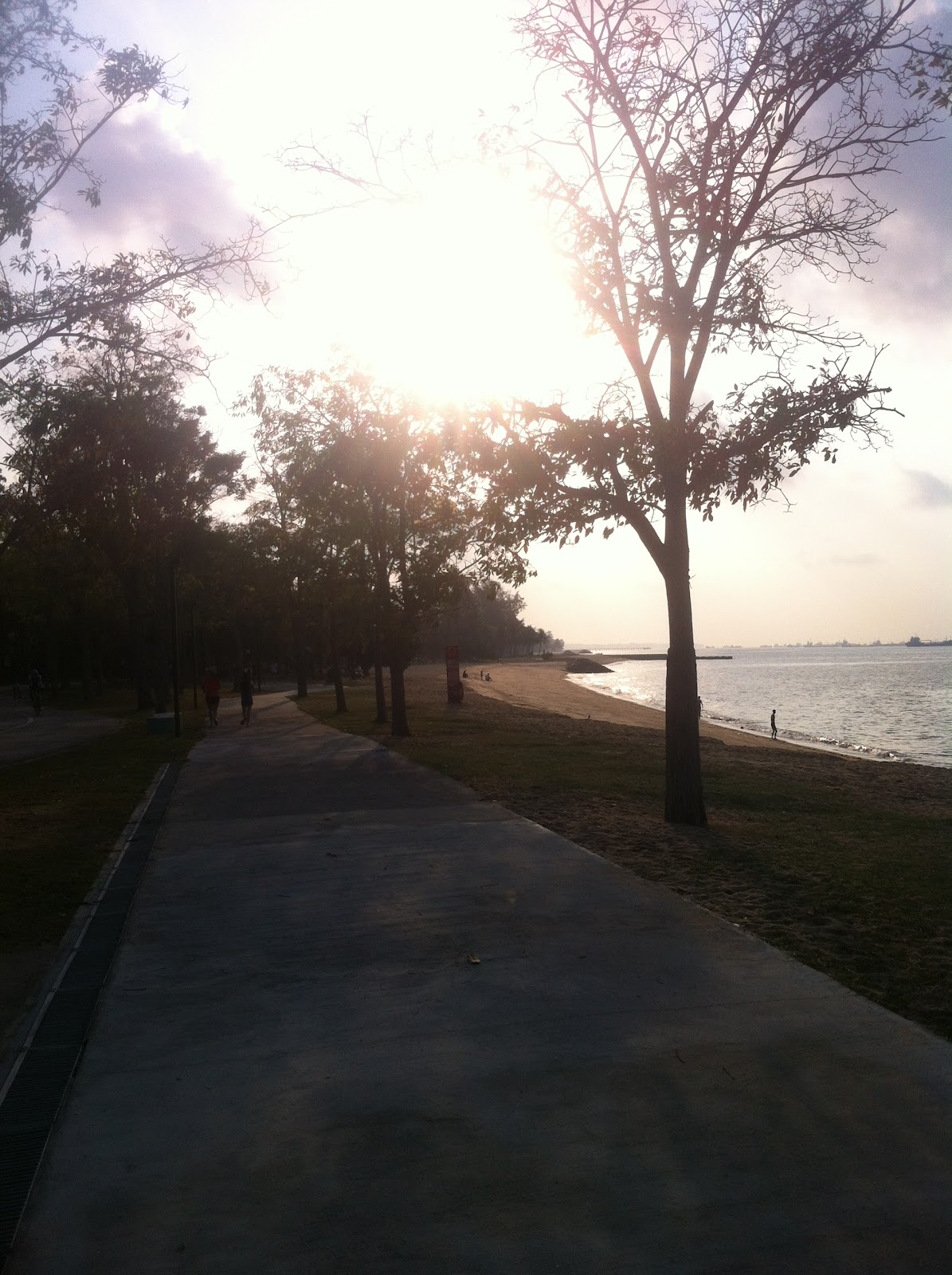 East Coast Parkway: It Is As Good As It Can Get