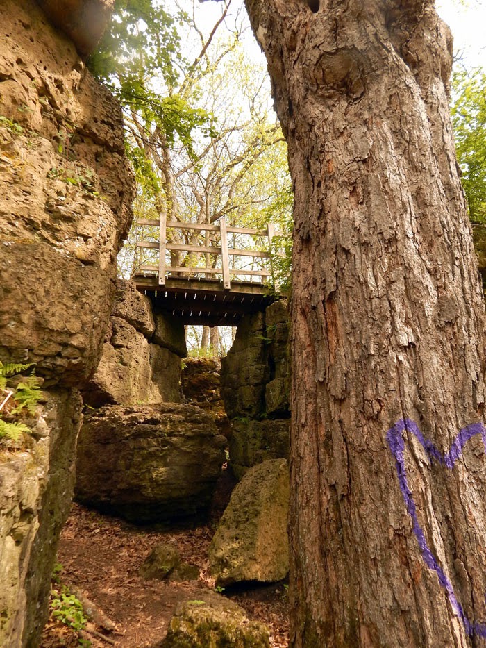Wisconsin Wilds: Ledge Park 2015 Spring Adventures
