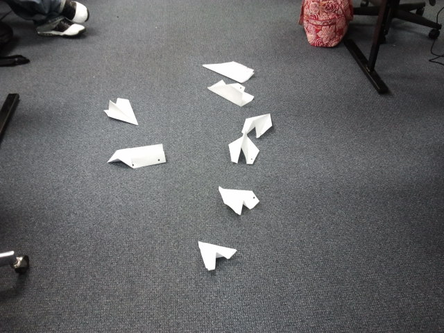 EXPLORING LEARNING STYLES AND DIFFERENCES: PAPER AIRPLANE EXERCISE (A ...