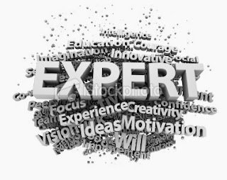 Top 5 Fridays! 5 Expert Qualities | Modern Manual Therapy Blog - Manual ...