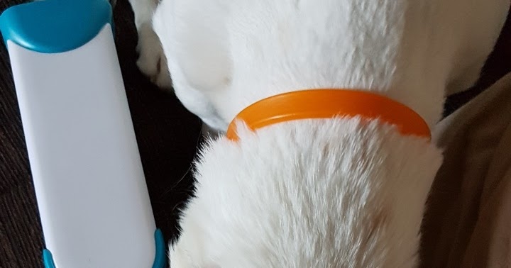 Mona's Blog: Haustier Fell Fussel Bürste Haarentferner Entfernen von ...