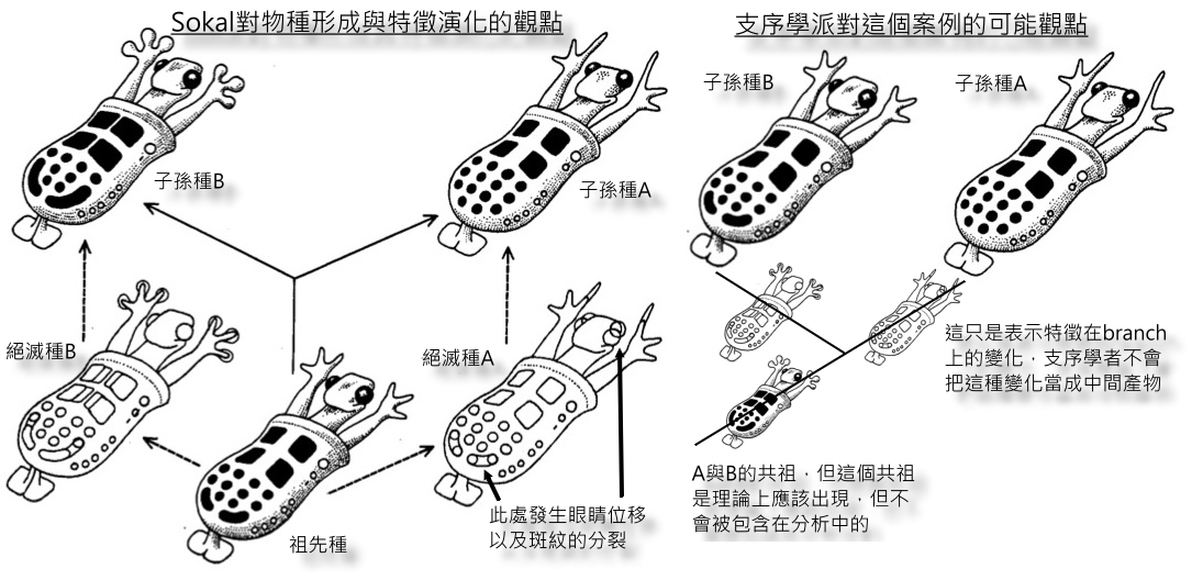 系統分類學研究實務 & 系統生物學: Caminalcules適合拿來當成支序學演算的練習題材嗎?