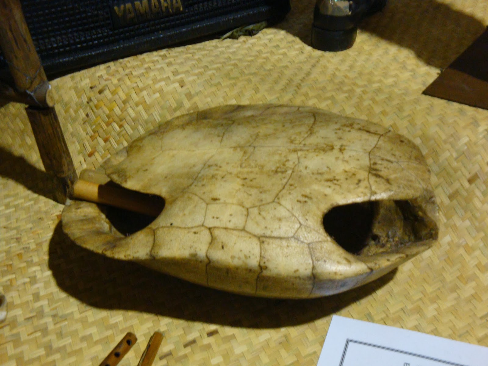 Los Mayas: Los Mayas